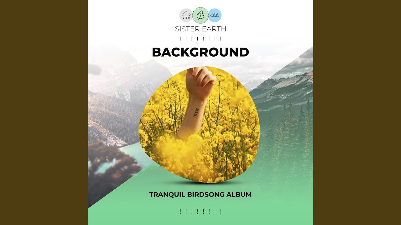 Magical Eclipse - YouTube