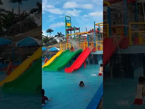 cewek cantik berenang