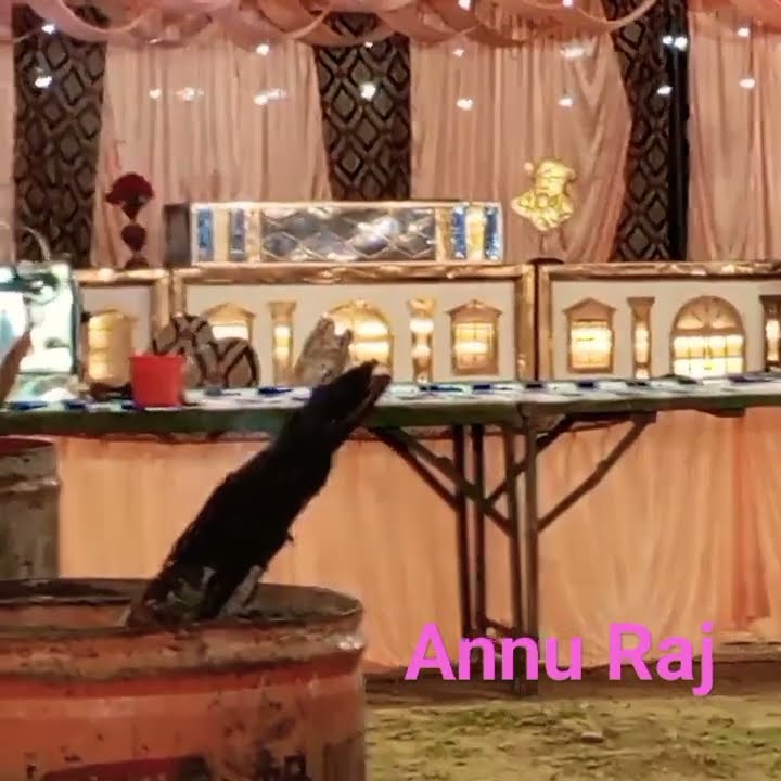ELD kaontar - YouTube