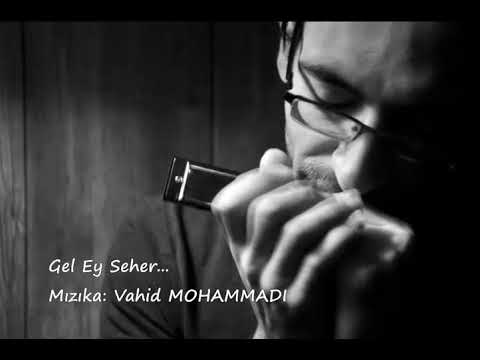 Gel Ey Seher - Polat Bülbüloğlu  / Mızıka - Vahid MOHAMMADI