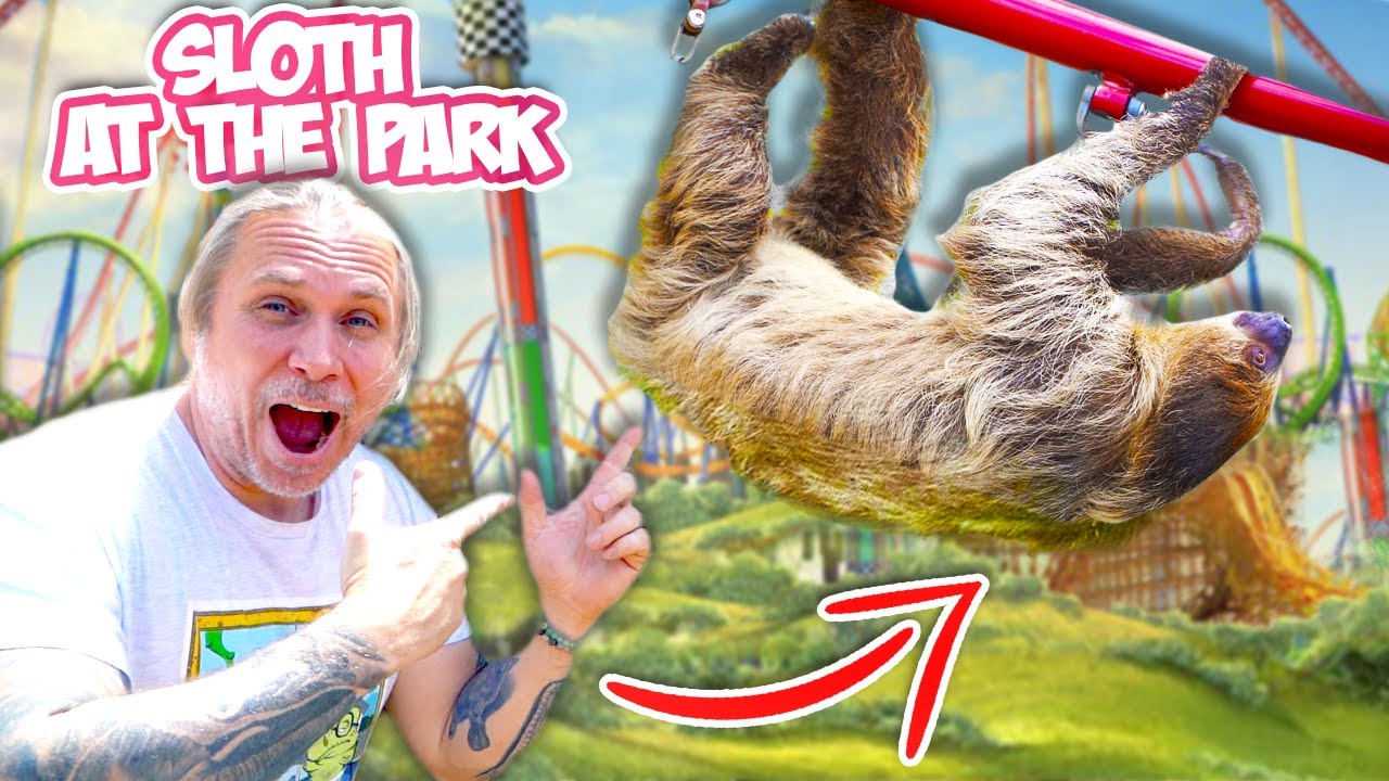 TAKING MY SLOTH (DROGO) to the PARK to PLAY!! | BRIAN BARCZYK - YouTube