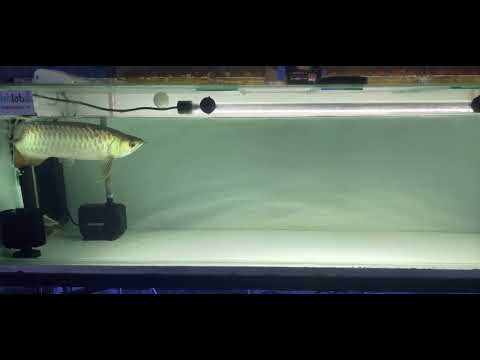 Hbrtg with rf - YouTube