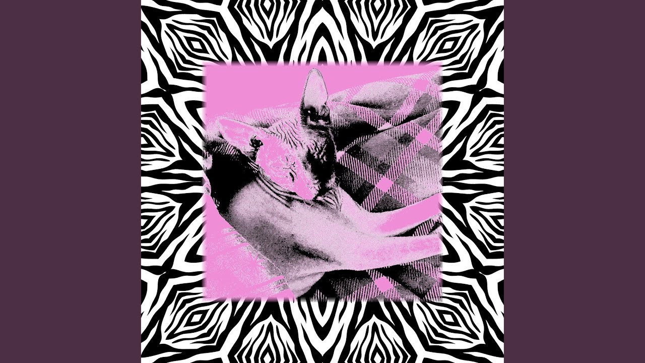 Mottephobia - YouTube