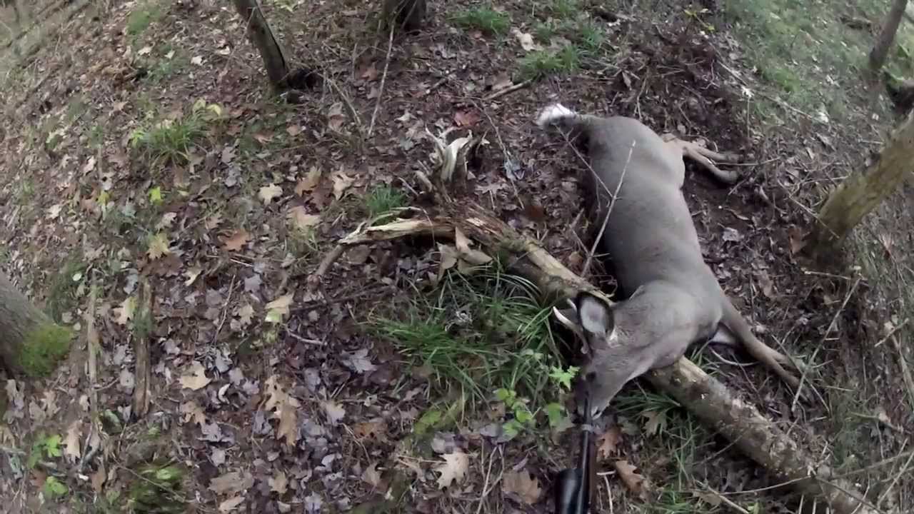 Deer Hunting video - YouTube