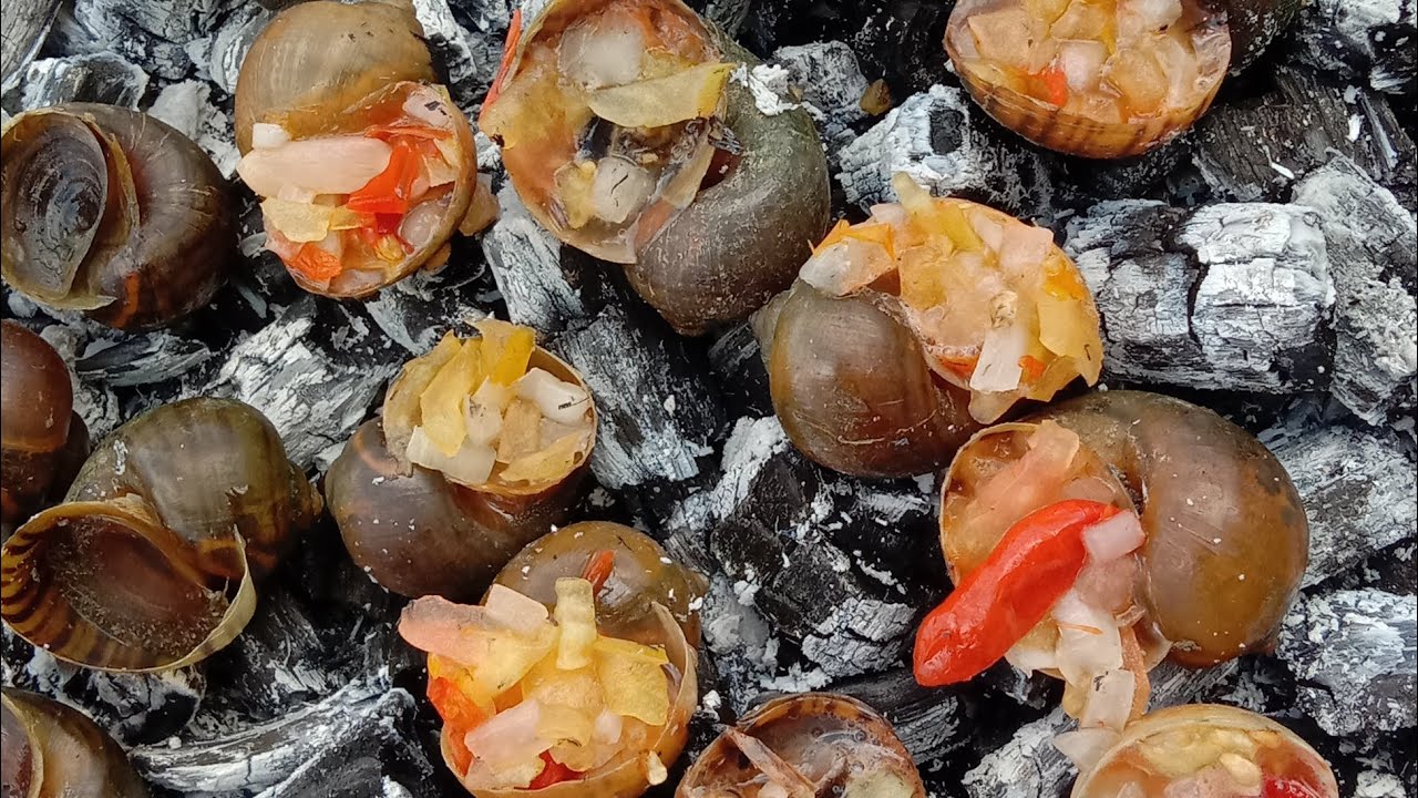 catch eating kohol - YouTube