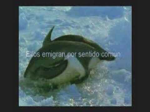 FERNANDO GONZALEZ COMERCIAL  TV