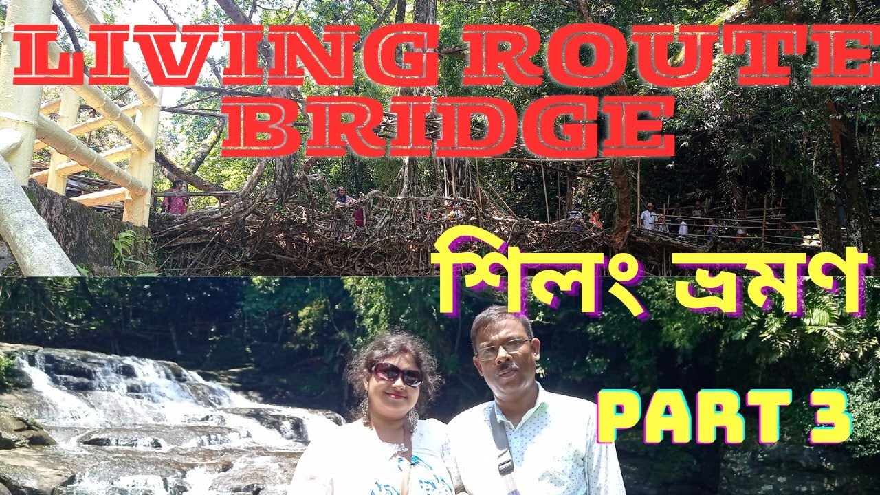 Living Route Bridge at Riwai, Meghalaya - YouTube