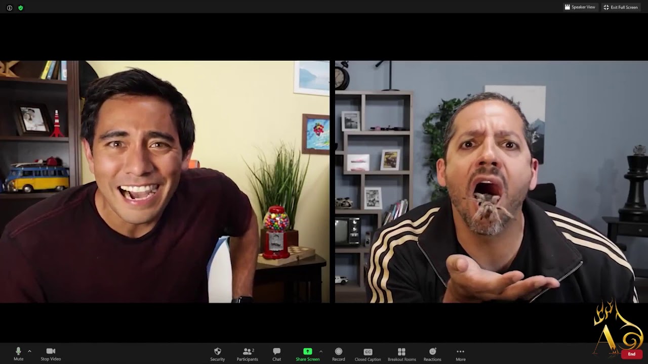 David Blaine and Zach King on Zoom - Alberico Magic - YouTube