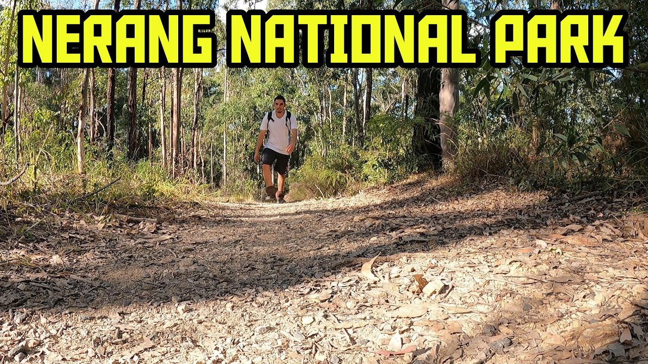 Nerang National Park Hike 🇦🇺 - YouTube