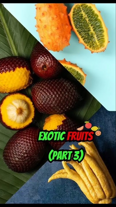 Top 10 Exotic Fruits Around The World Part 3 - YouTube