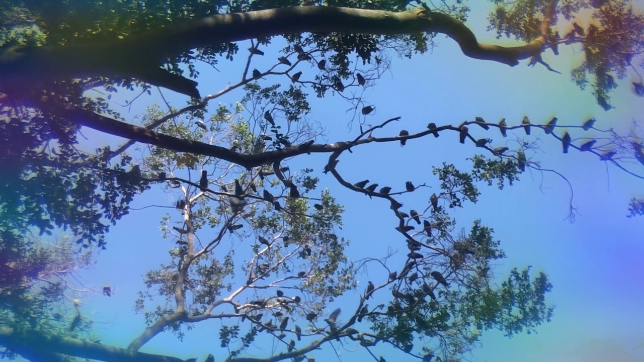 Slow motion! Dreamy effect - YouTube