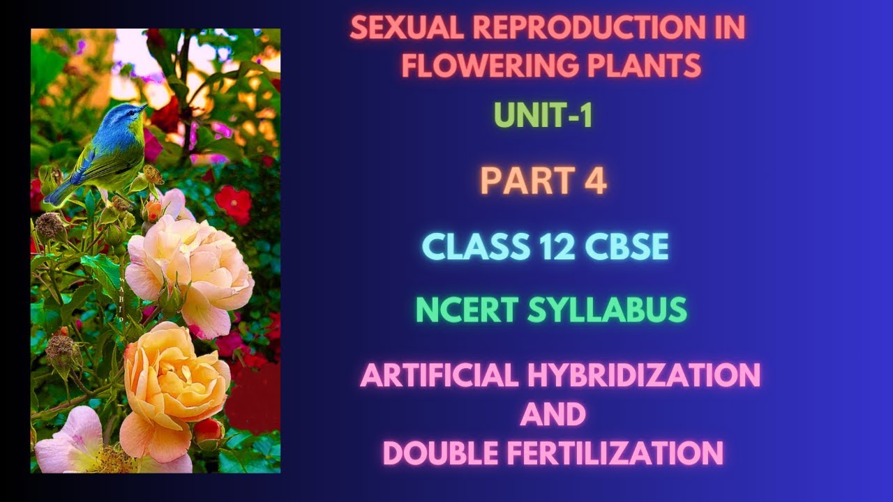 ARTIFICIAL HYBRIDIZATION AND DOUBLE FERTILIZATION || SEXUAL ...