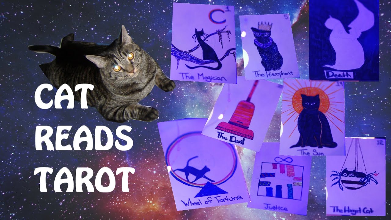 FREE Tarot Card Reading from a Tarot Card Reading CAT! Esoteric cat ...