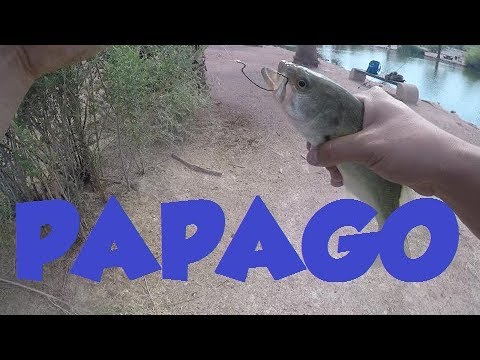 Papago Ponds AZ - YouTube