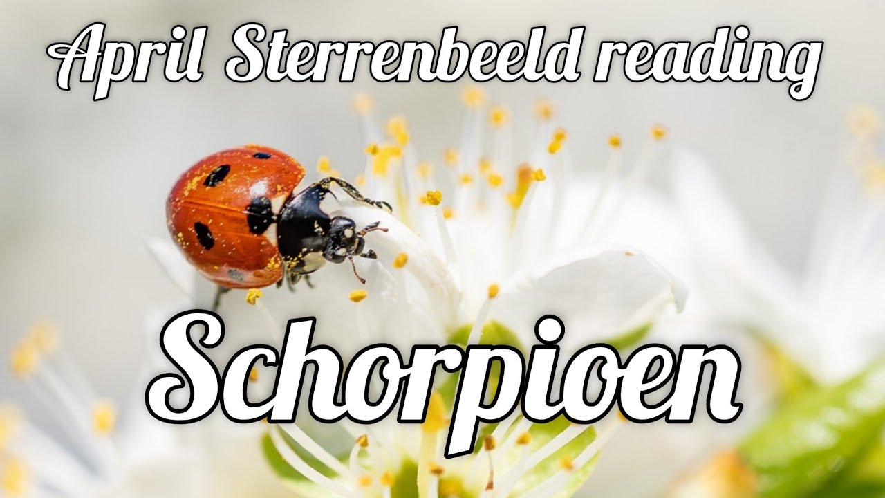 Schorpioen Sterrenbeeld maand reading - April - Tarot reading - YouTube
