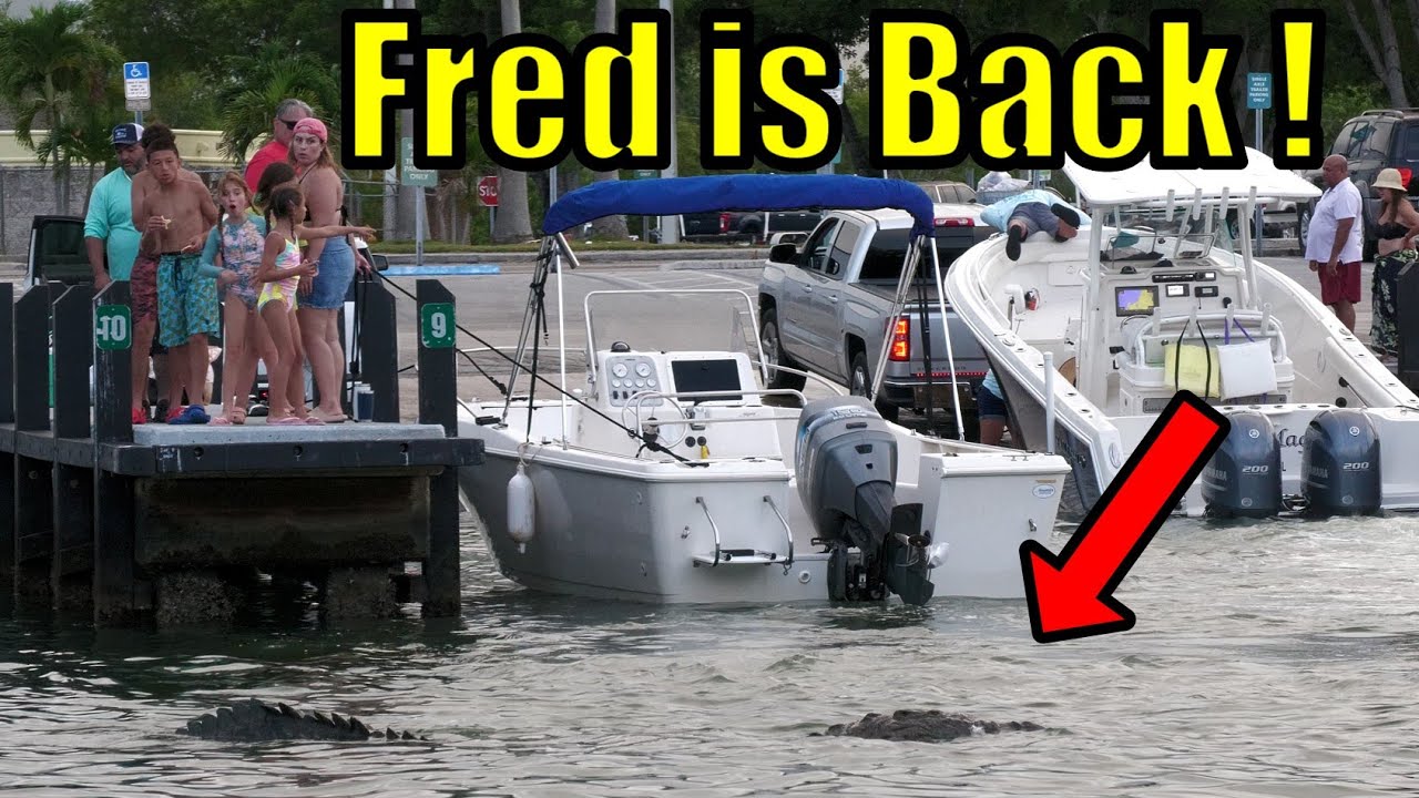 Fred is Back ! Instant Karma for a Chit Talking Boater ! (Chit Show ...