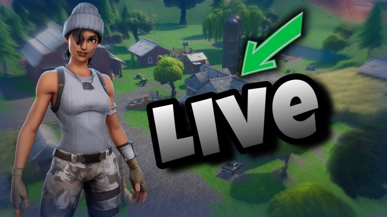 Fortnite PC Player live stream! Arena Grind! - YouTube