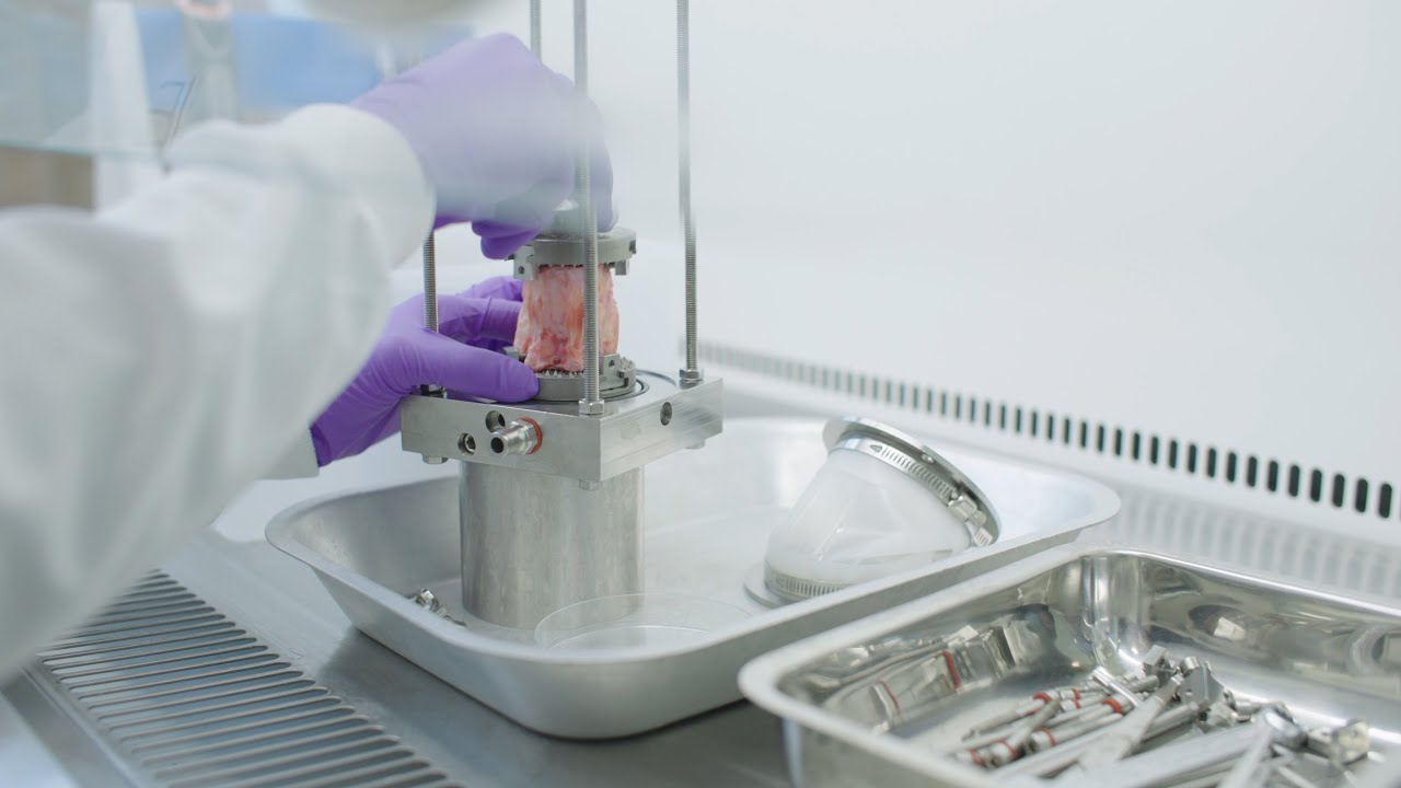Six-axis bioreactor biochamber design - YouTube