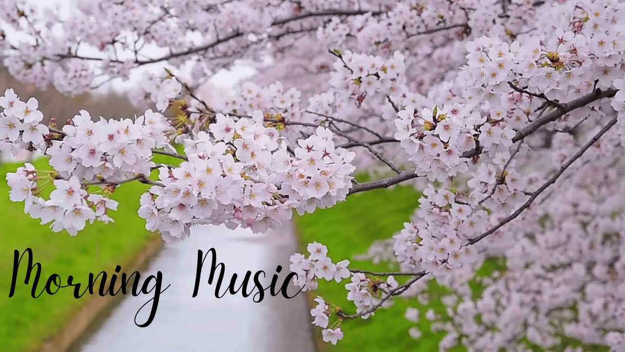 Relaxing Morning Music | Relax, Breathe, and Wake Up Calmly | Coffee ...