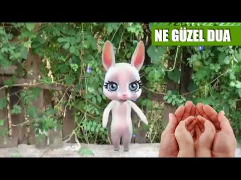 Komik Tavşan