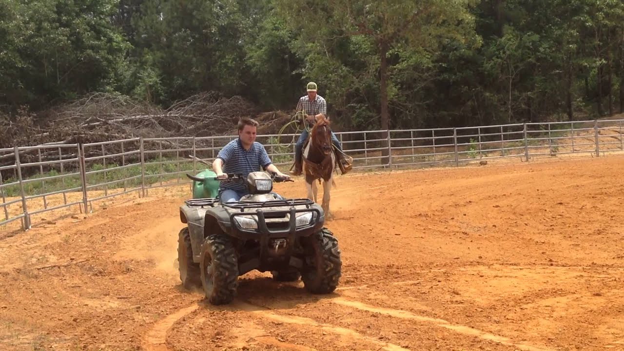 Smokey Rascal Riding 1 - YouTube