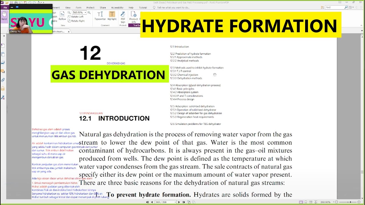 Absorption (glycol dehydration process) and adsorption solid-bed ...