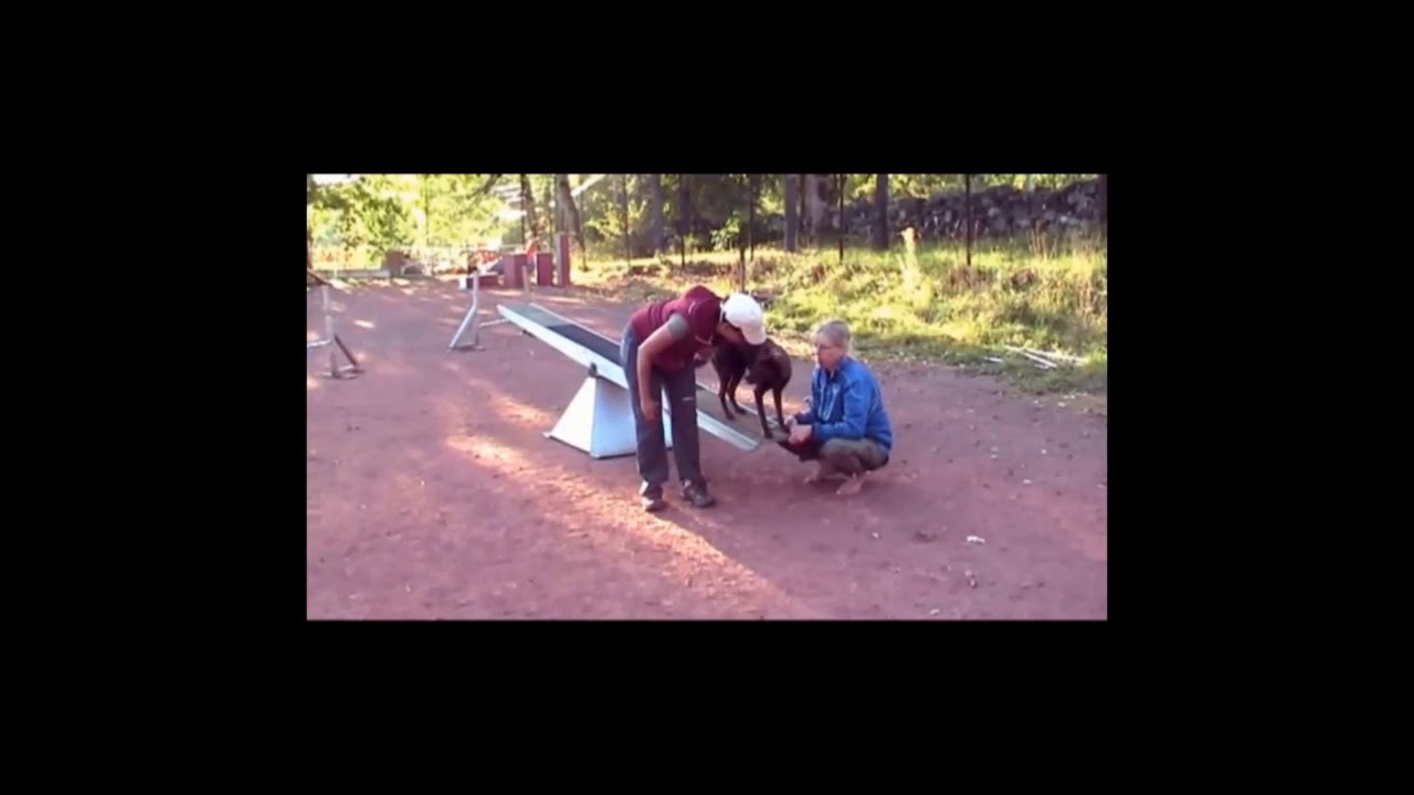 Start button in teeter training - YouTube