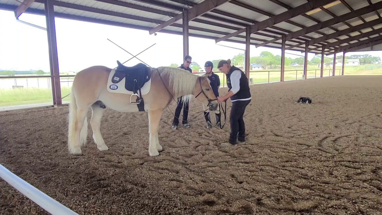 Straightness Training 1 - YouTube