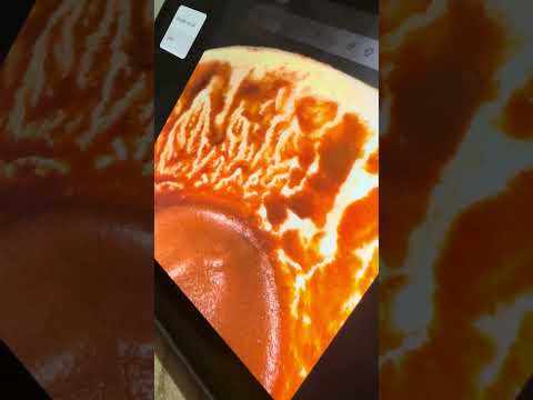 PİŞMAN AMA BURNUNDAN KIL ALDIRMIYOR !!