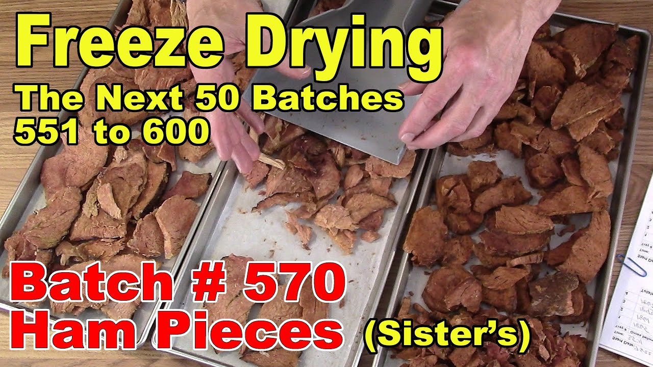 Freeze Drying - The Next 50 Batches - Batch 570 - Ham Pieces, Cooked (a ...