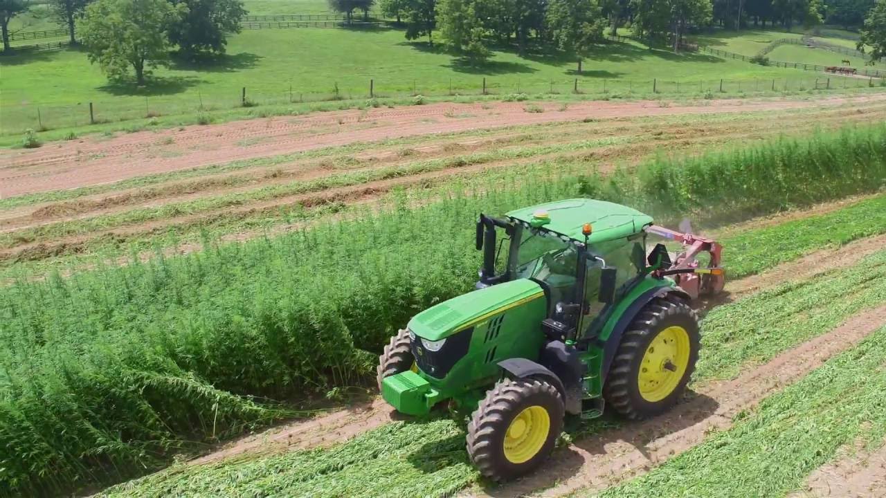 Hemp - Fields of Green - YouTube