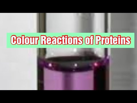 Colour Reactions of Proteins/ Biochemistry #proteins #protein # ...