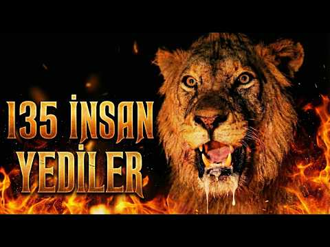 135 İnsanı Yiyen | Tsavo Aslanlarının Gerçek Hikayesi