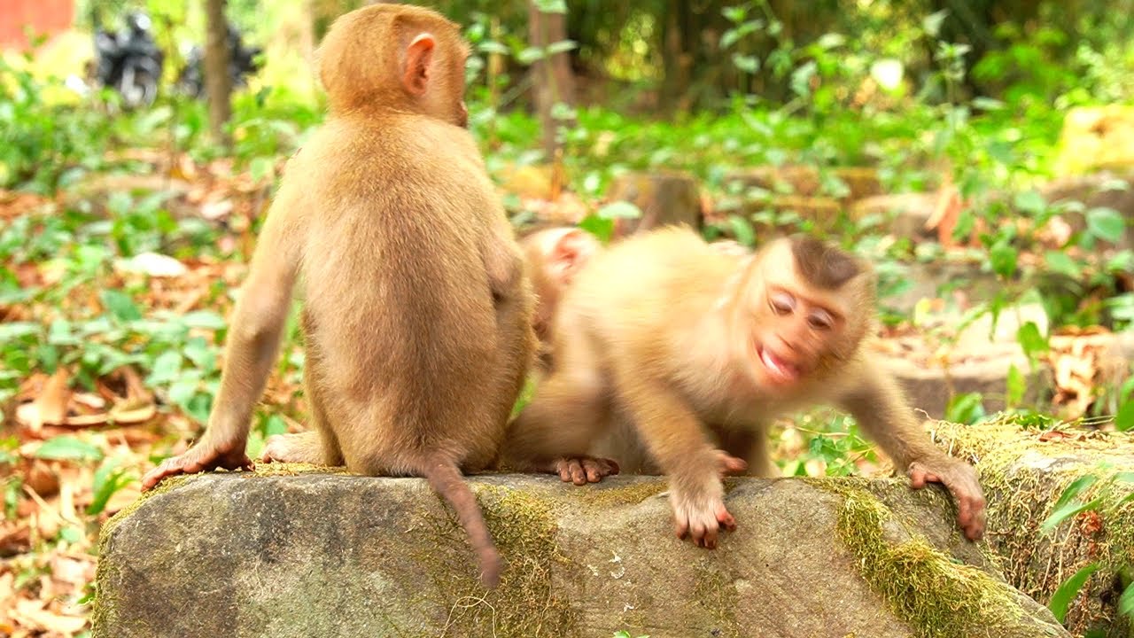 So pity to voice mom help, when Leo poke him, during nap - YouTube