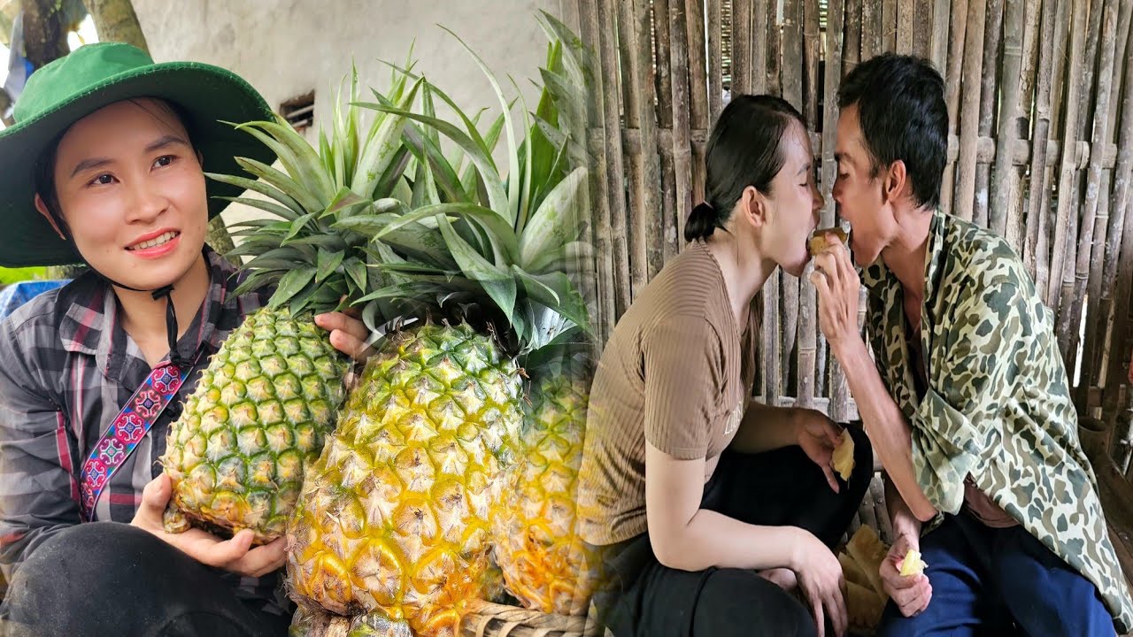 Picking pineapples to go to the market/ and love between couples - YouTube