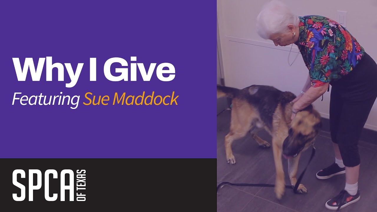 Why I Give - Sue Maddock - YouTube