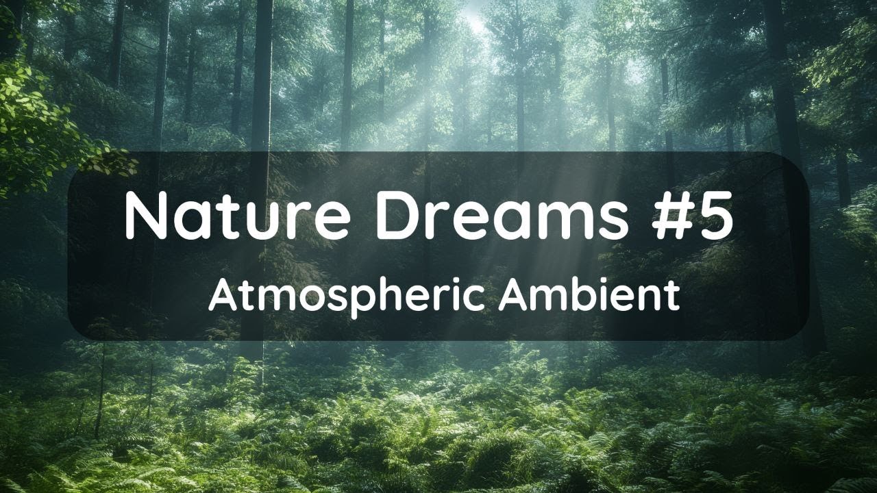 Nature Dreams #5: Atmospheric Ambient Perfect to Chill, Soothe and ...
