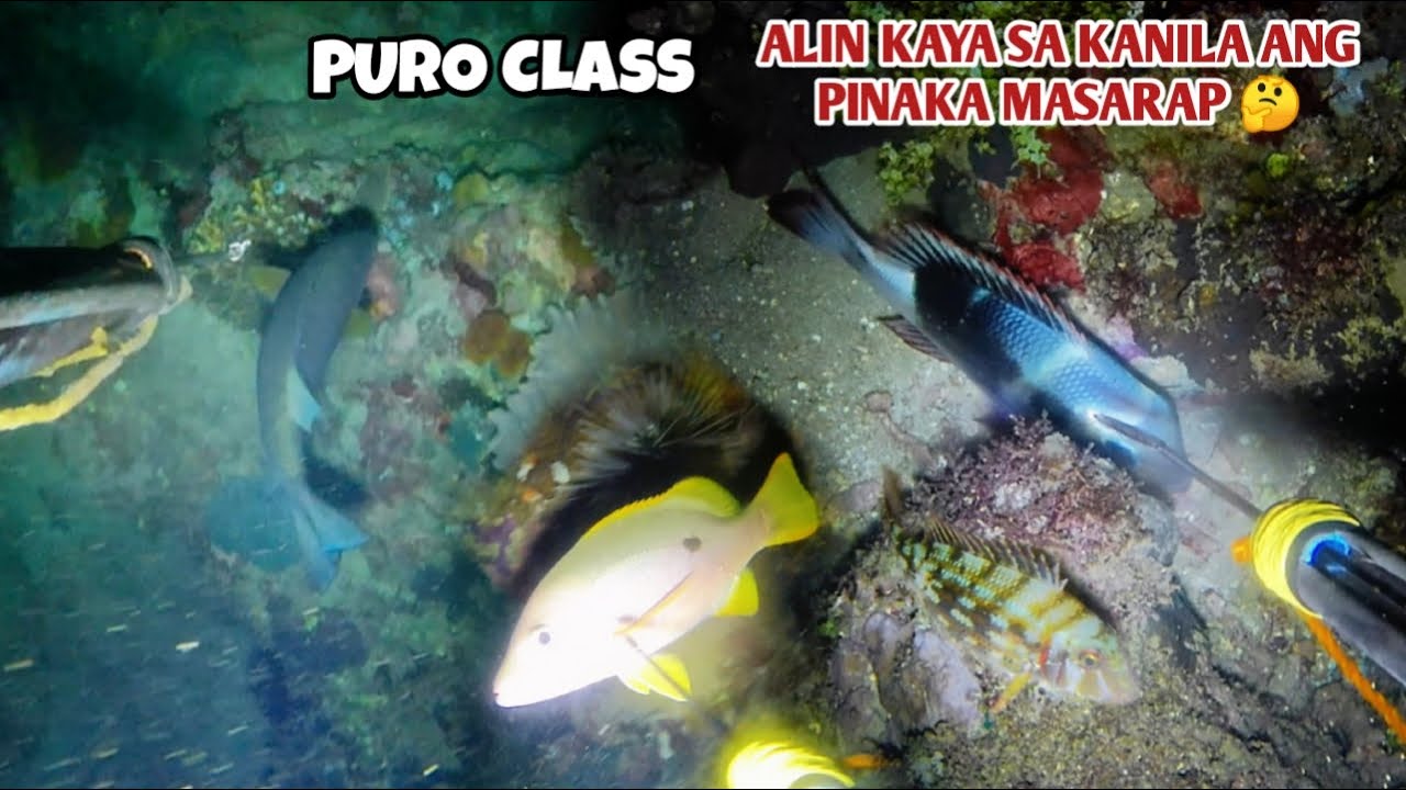 EP 327: PURO CLASS ALIN KAYA SA KANILA ANG PINAKA MASARAP 🤔 Night ...