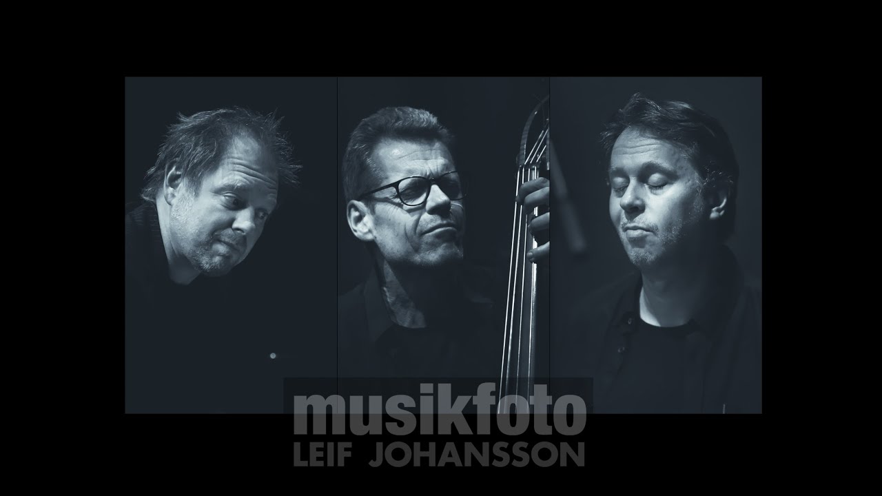 Daniel Karlsson Trio - YouTube