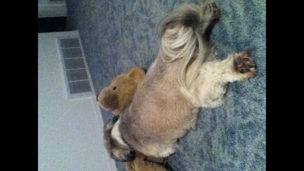 What’s Spinning Action 146 - YouTube