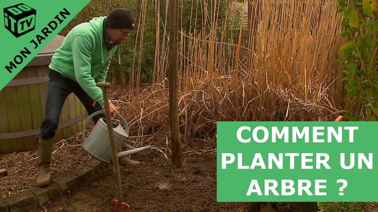 Comment planter un arbre ? | Mon jardin - YouTube