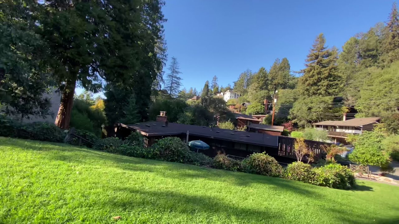 Walking Through Berkeley Hills, California 👟 - YouTube