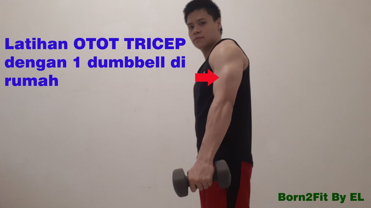Latihan Otot Tricep dengan 1 Dumbbell di Rumah - YouTube