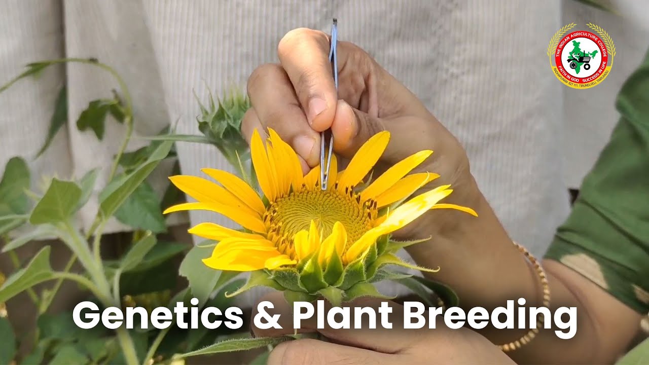 Genetics and Plant Breeding Lab - YouTube