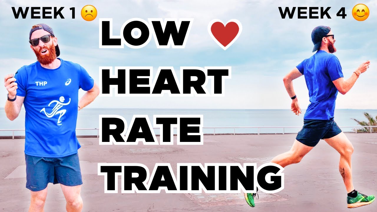 One Month Training in Zone 2. INCREDIBLE Results! - YouTube