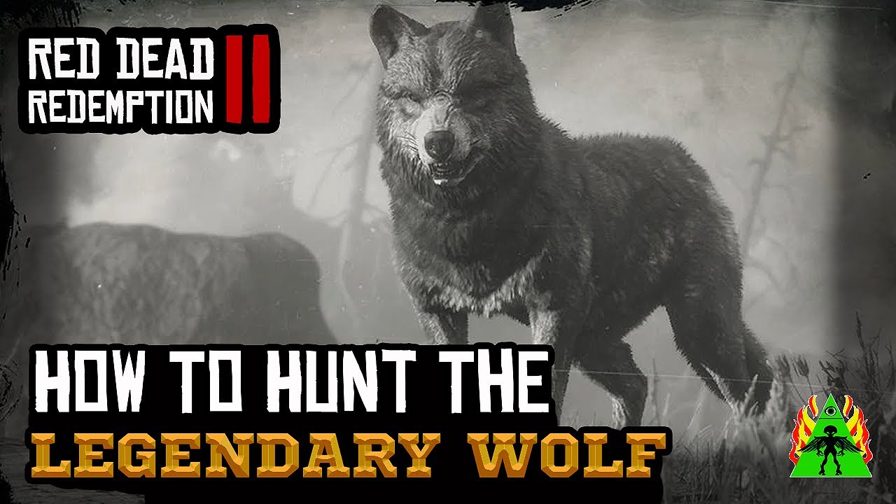 Red Dead Redemption 2 - How to Hunt The Legendary Wolf - YouTube
