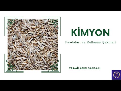 KİMYON - Kimyonun Faydaları - Kimyonun Kullanımı - Şifalı Bitkiler - Sağlık