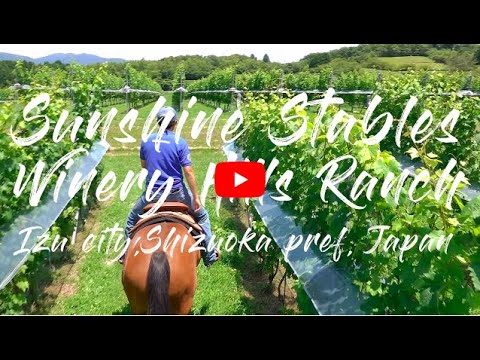 'horse trek trip'Sunshine Stables Winery Hills Ranch summary Izu city ...