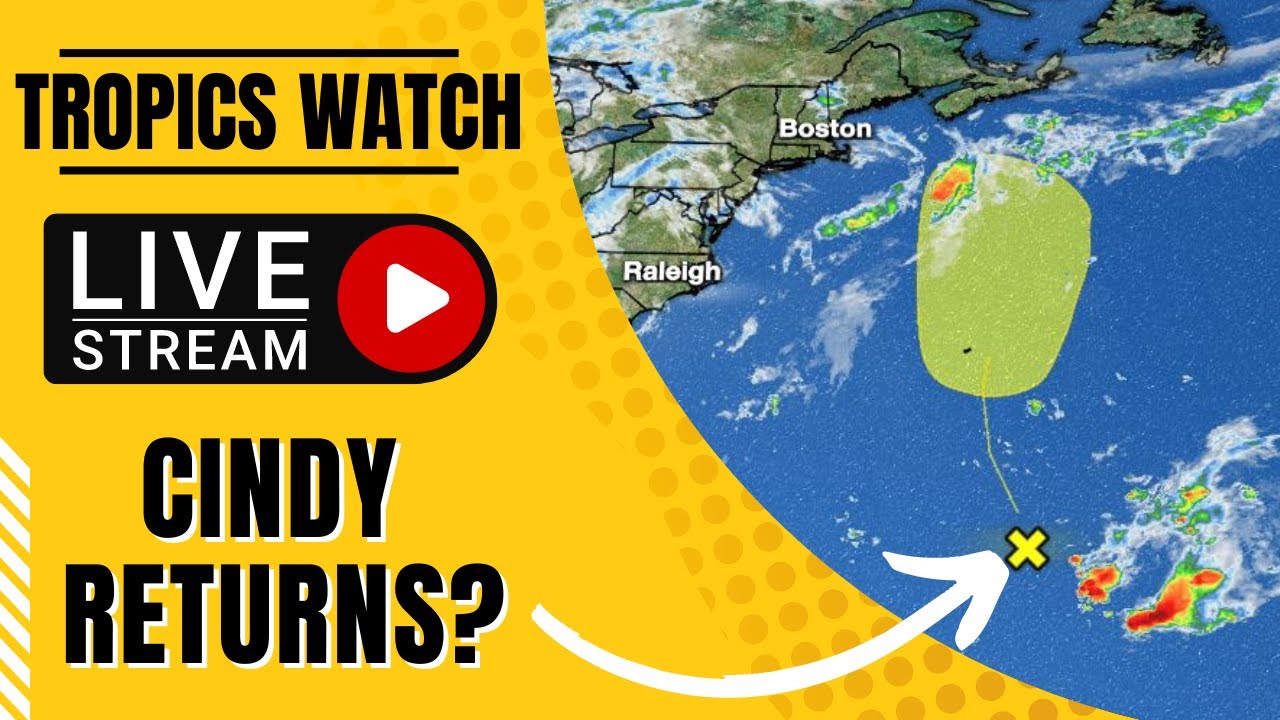Tropics Watch LIVE: New Area To Watch PLUS Biggest Dust Outbreak Of The ...