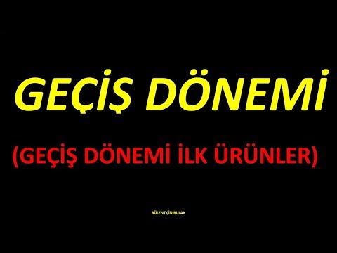 GEÇİŞ DÖNEMİ ESERLERİ (ŞİFRELİ HİKAYELERLE)